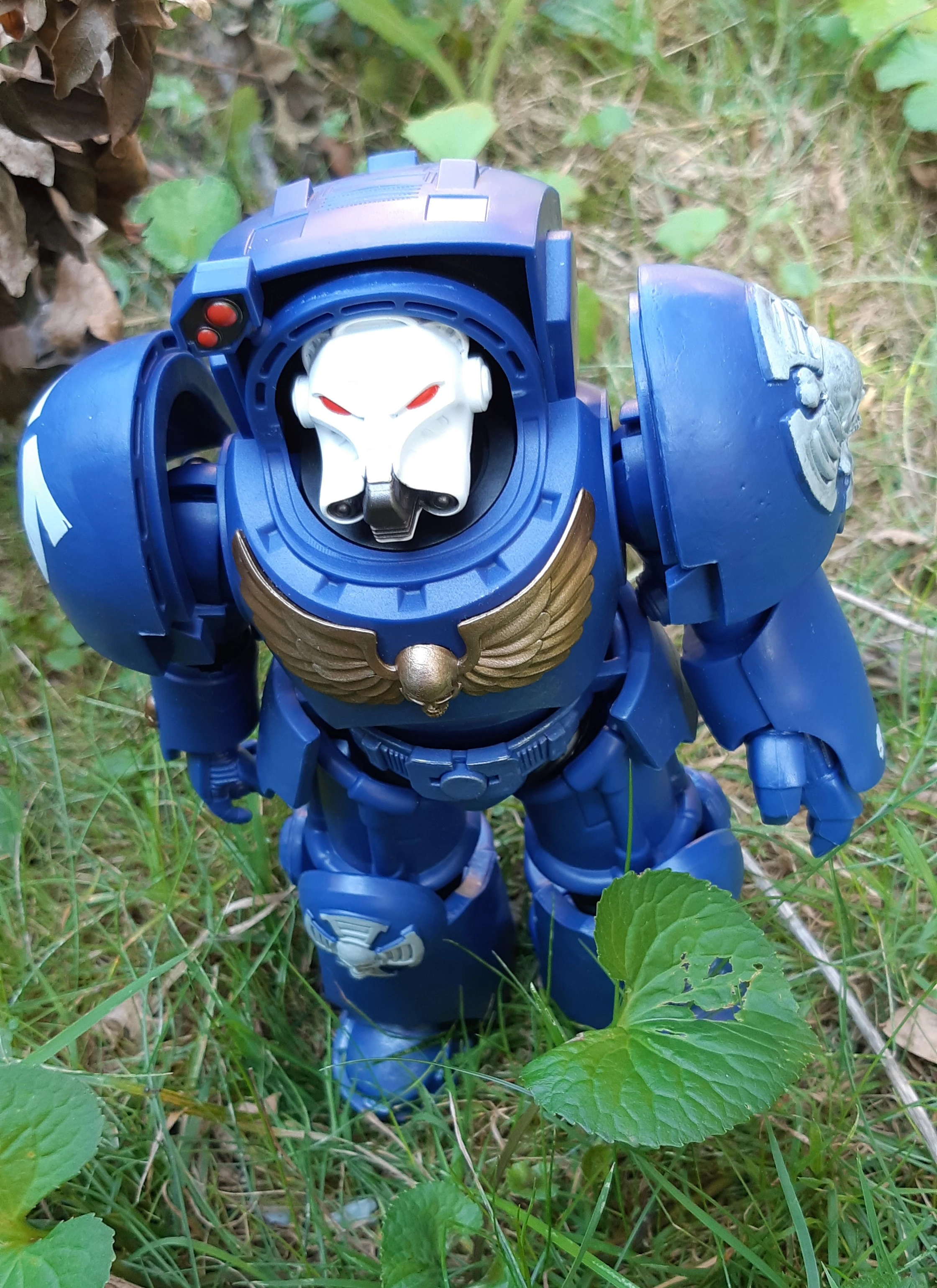 Terminator out and about. | Fandom