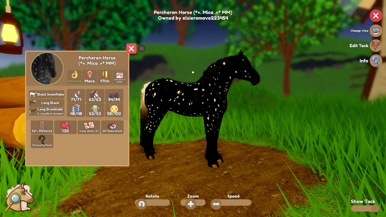 Swapping/Trading kinda perf MM perch and Perfect MM arabian | Fandom