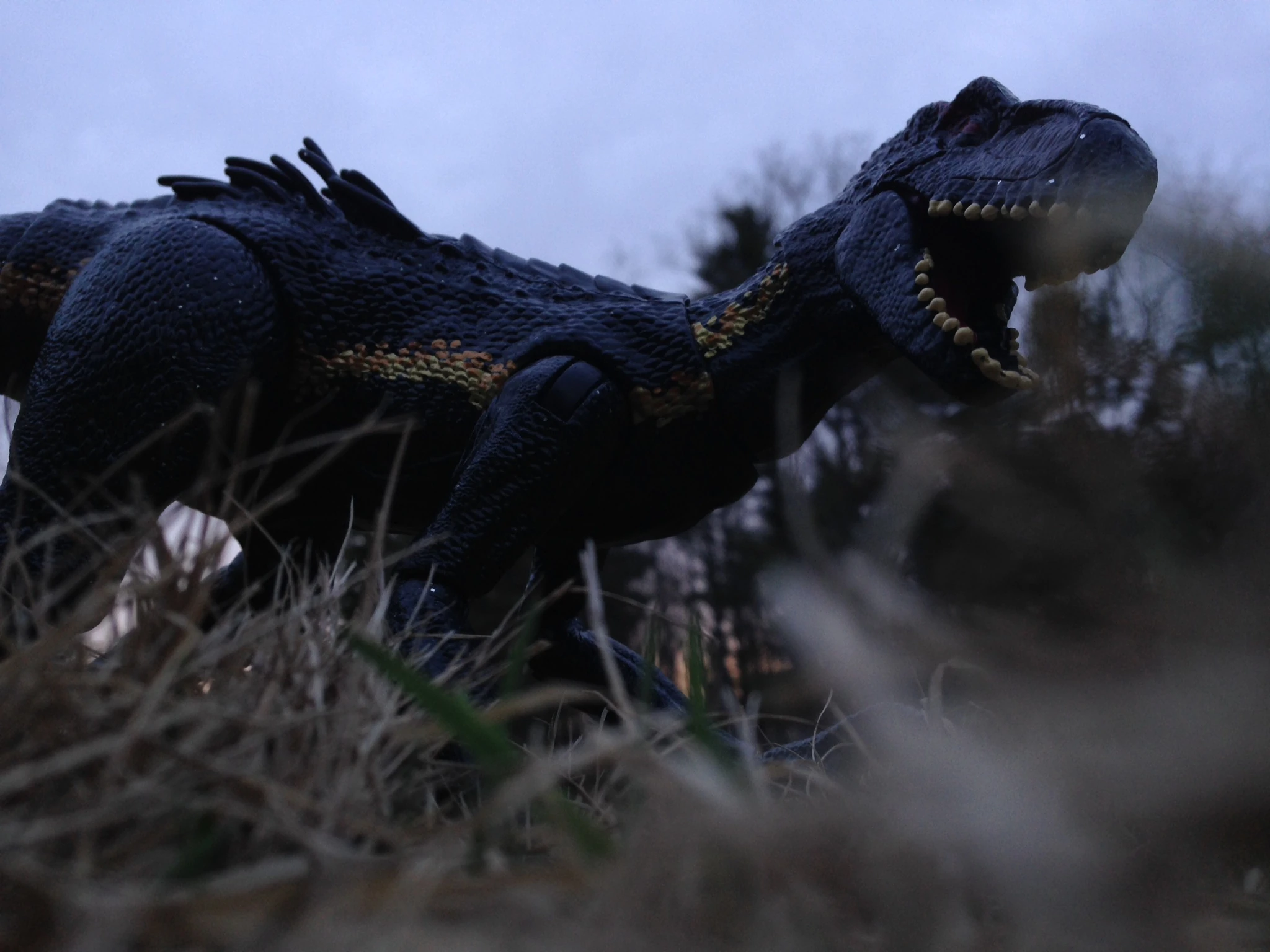 I’m back...? | Fandom