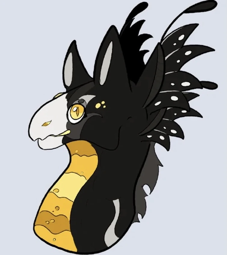 Oldish Veldys Fanart Nobody Will Care About | Fandom
