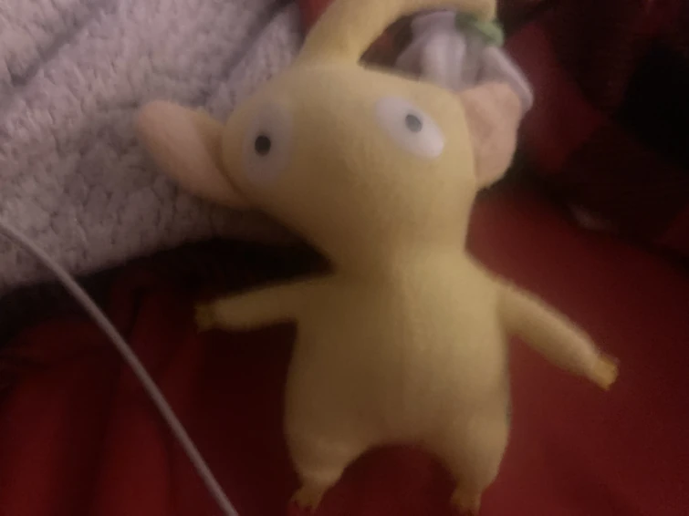 Wonky aaaa bootleg pikmin plush that I may or may not have done this to ...