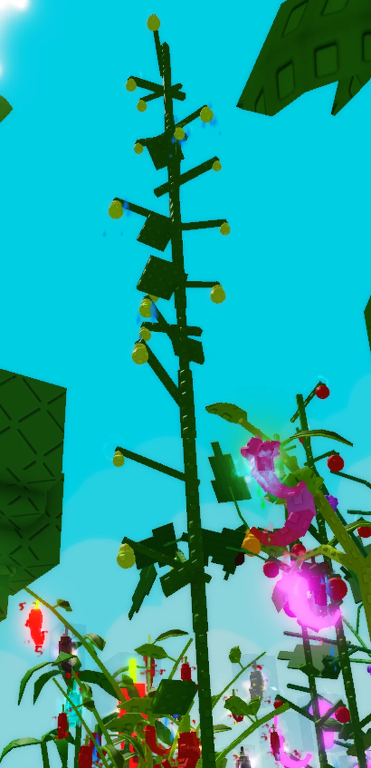 Tallest pear plant? | Fandom