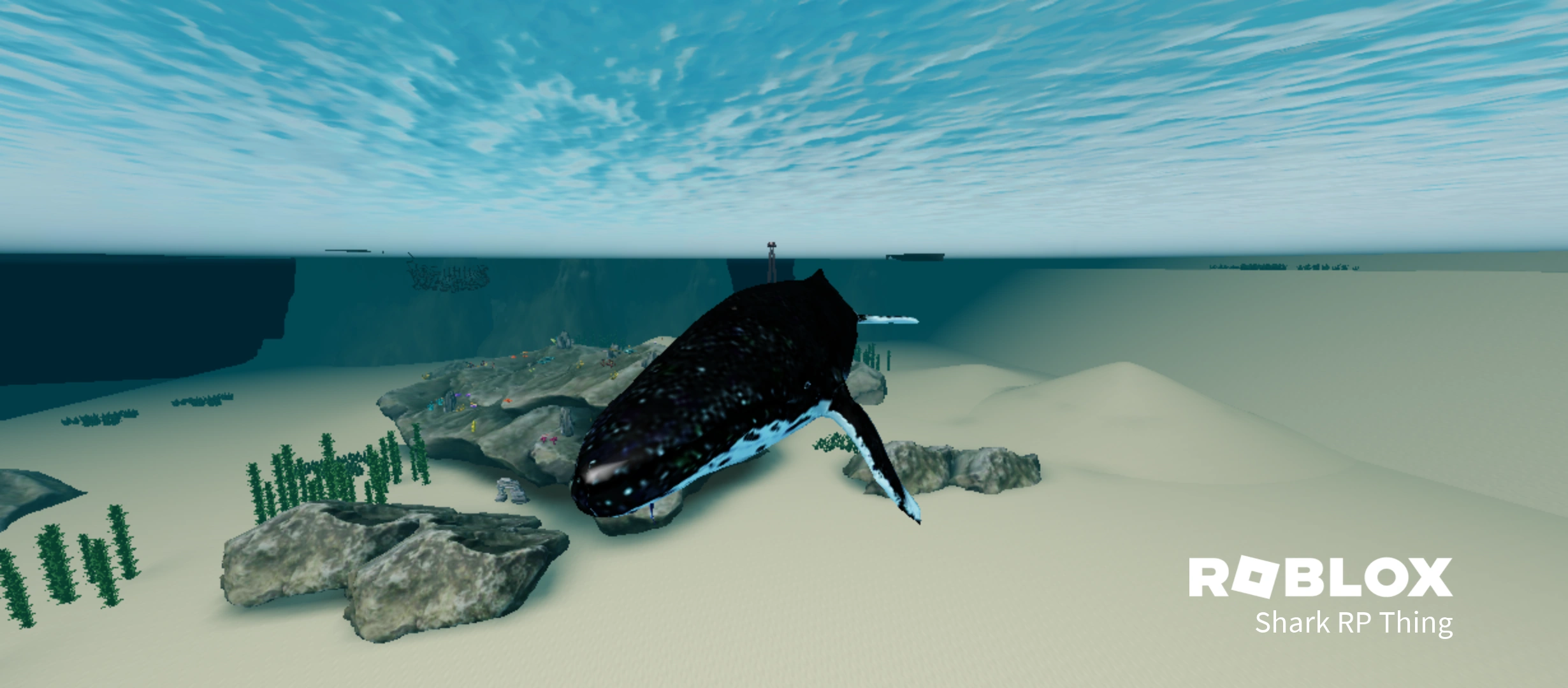 Whaley whale | Fandom