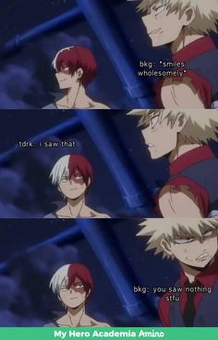 Bunch of funny MHA memes | Fandom