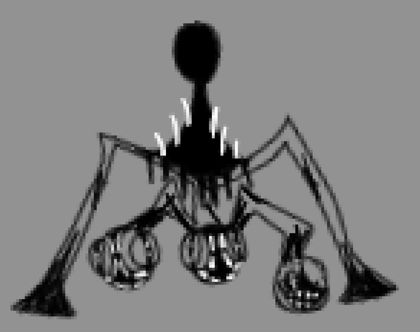 The void has infinite forms | Fandom