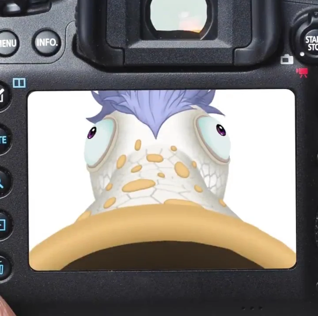 Front Facing G'Day | Fandom