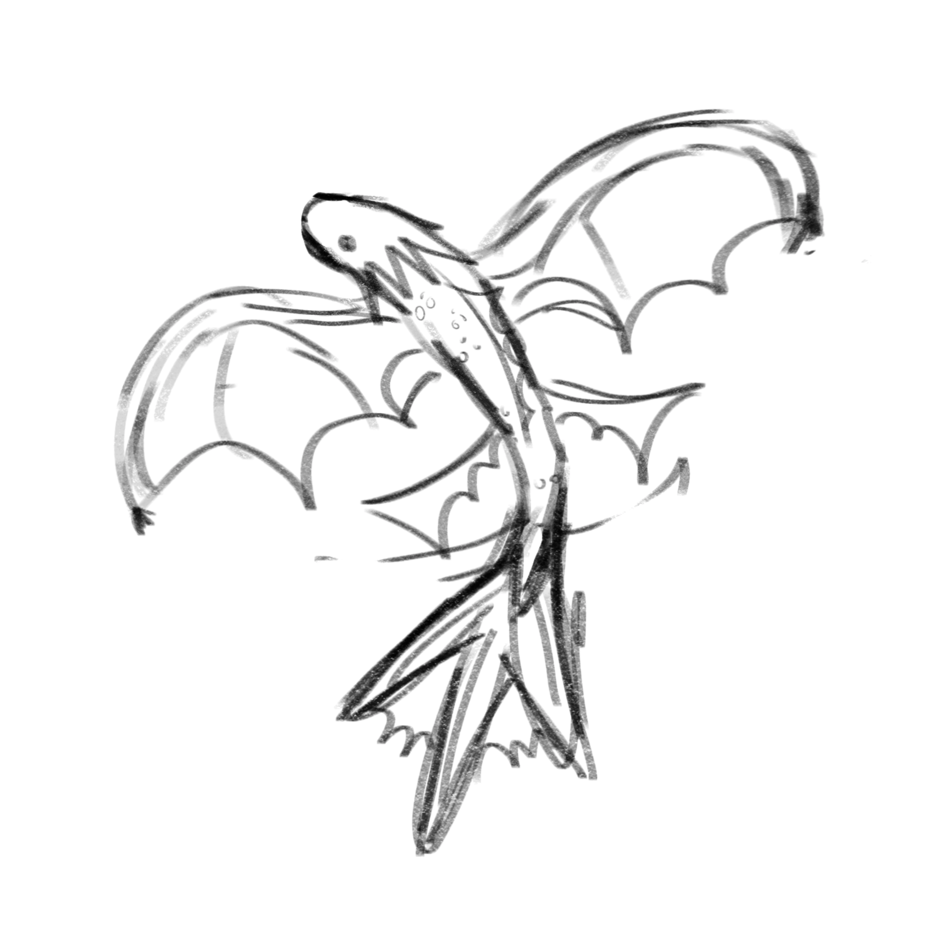 Flying fish dragon concept (wip) | Fandom