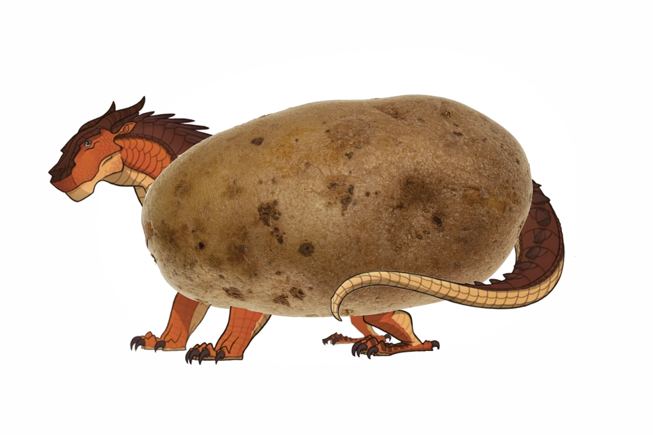 He's a Potato | Fandom