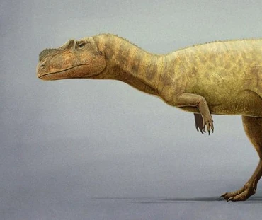 Discuss Everything About Dinopedia | Fandom
