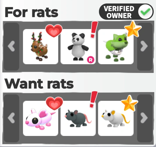 Looking for pet rats | Fandom