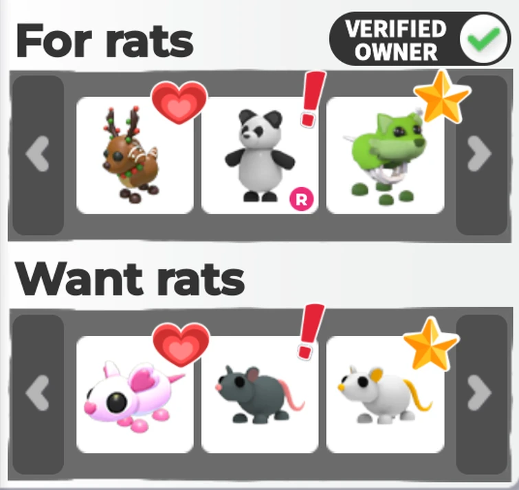 Looking for pet rats | Fandom