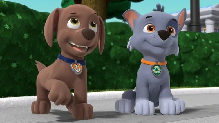 Rocky and Zuma | Fandom