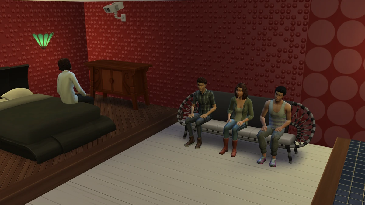 The Crowd | CBB Sims Revival Wiki | Fandom