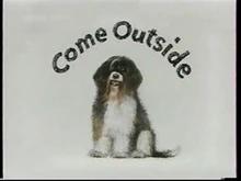 Come Outside | CBBC on Choice Wikia | Fandom