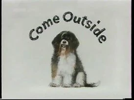 Come Outside | CBBC on Choice Wikia | Fandom