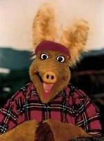 Otis the Aardvark | CBBC | Fandom