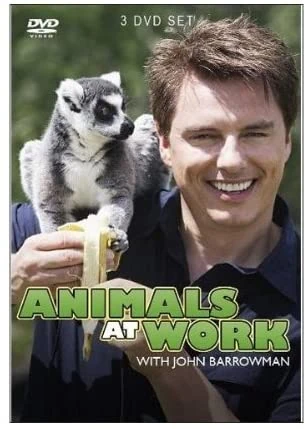 Animals at Work | CBBC | Fandom