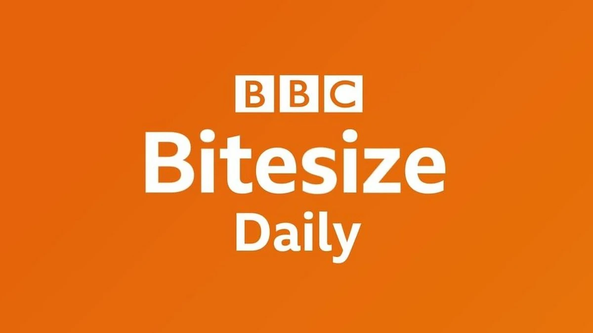 BBC Bitesize Daily | CBBC | Fandom