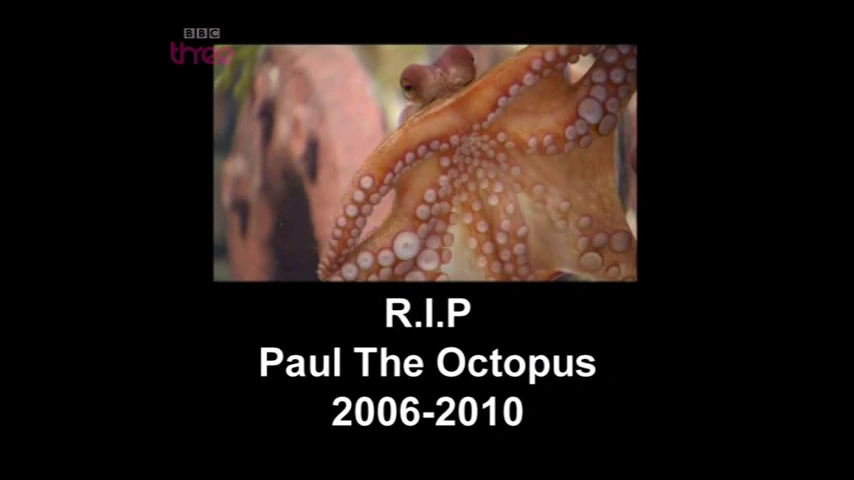 31 December 2010 | CBBC/BBC Three Broadcast Archives Wiki | Fandom