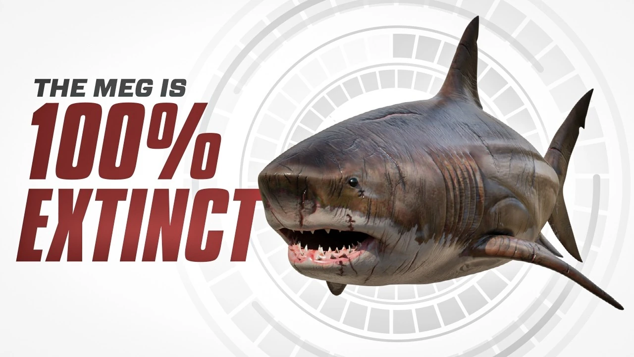 New Goji video | Fandom