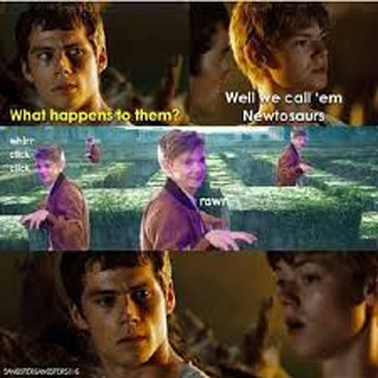 Maze runner memes | Fandom