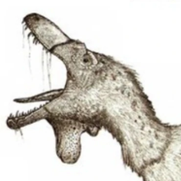 Discuss Everything About Dinopedia | Fandom