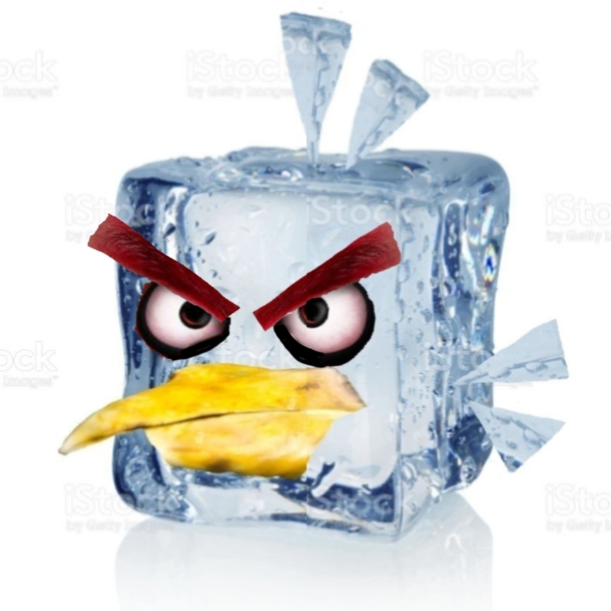 Irl ice bird | Fandom