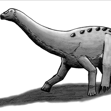 Discuss Everything About Dinopedia | Fandom