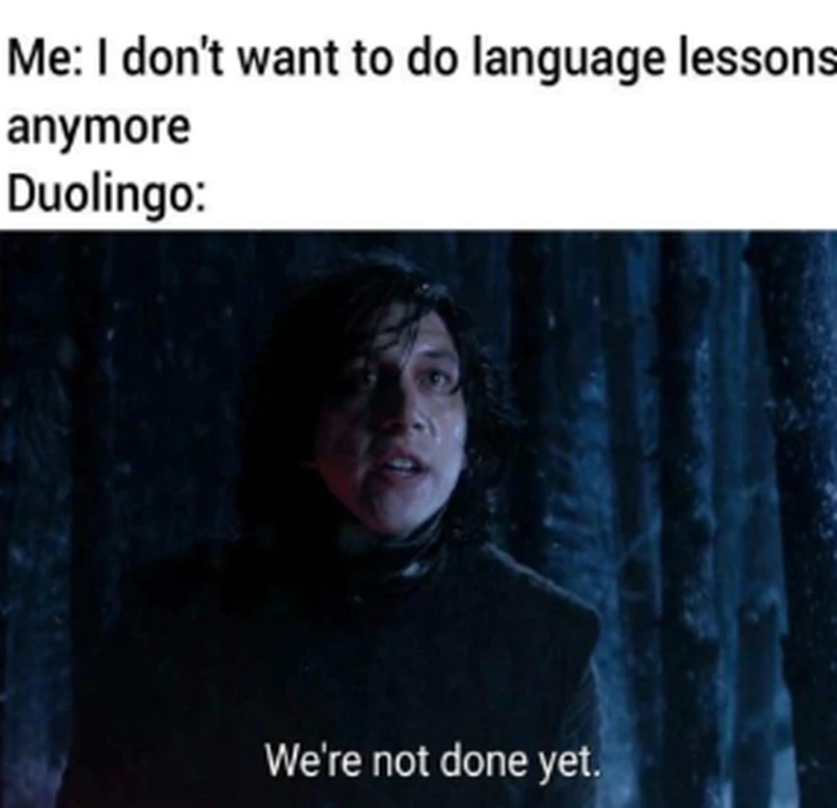 Which memes are your favorite | Fandom