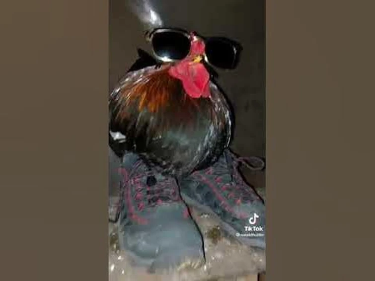 Chat with each other #10 | Fandom