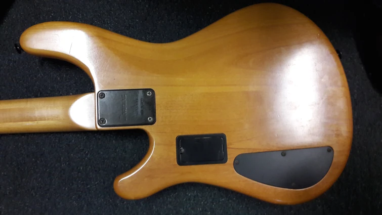 Discuss Everything About Ibanez Wiki | Fandom