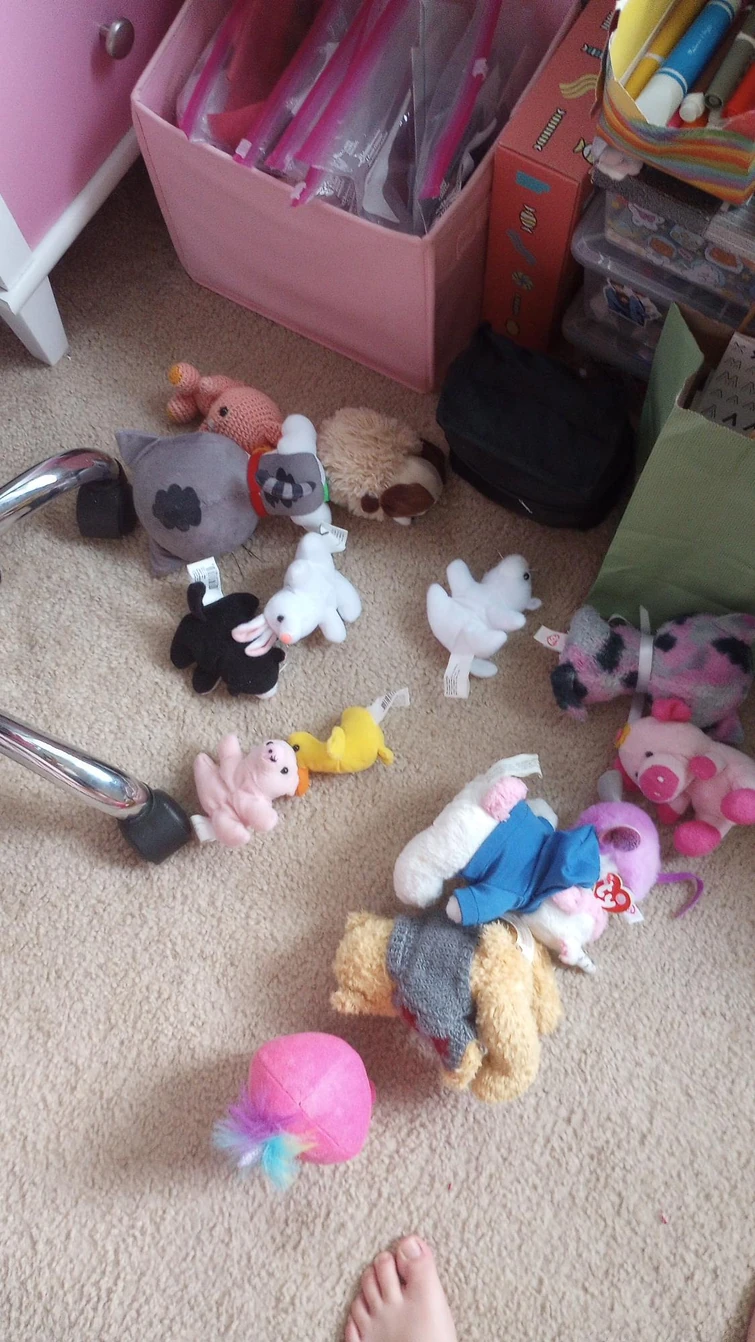 Rearranging stuff | Fandom