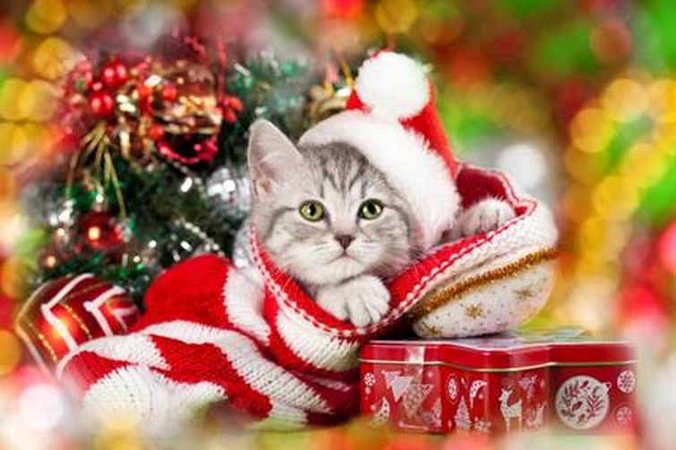 Discuss Everything About BlogClan 2 Wikia | Fandom