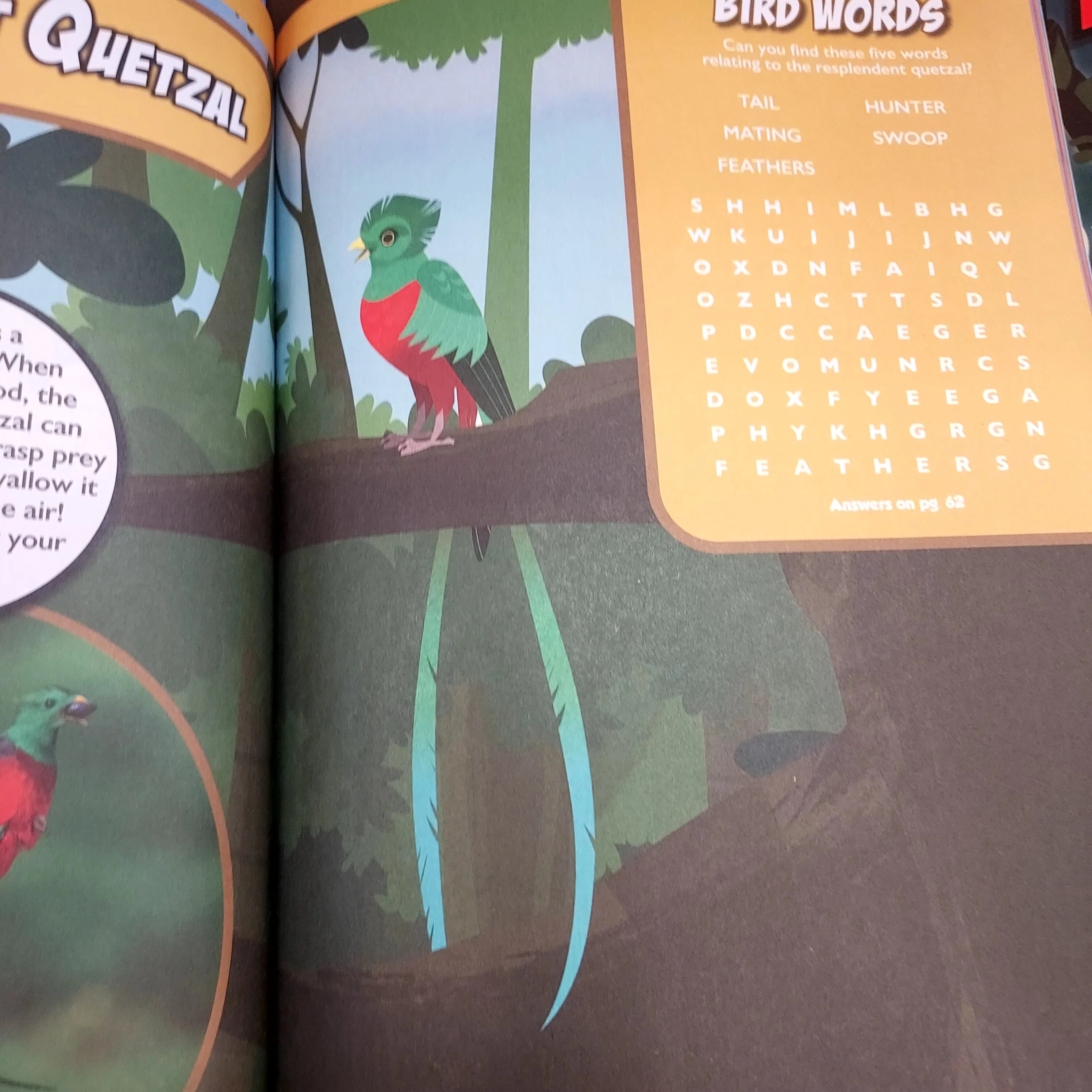 Look what I found in Wild Kratts magazine - Tales of Tails? | Fandom