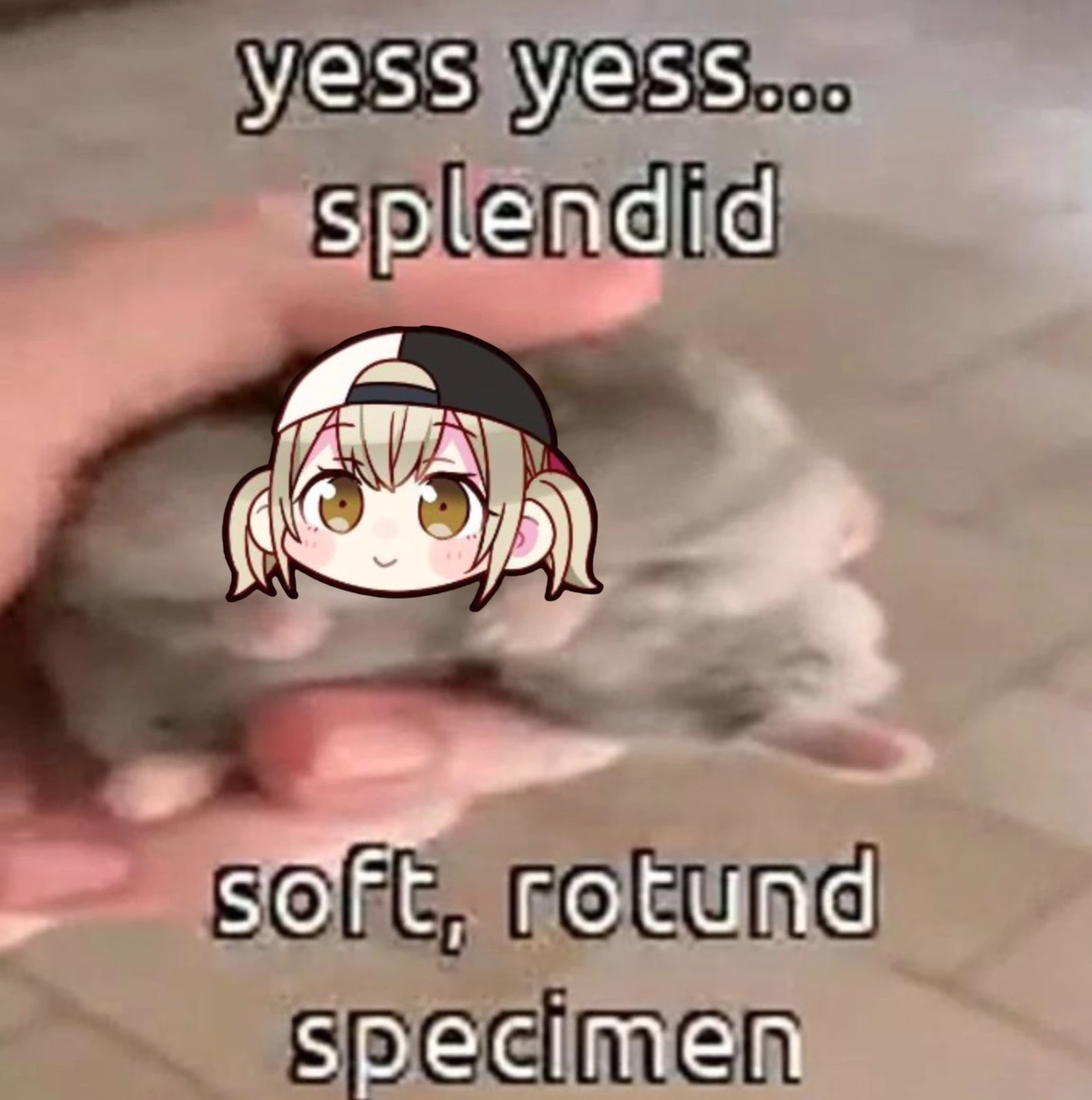 hewwo uwu rawr x3 | Fandom