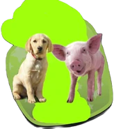 CBeebies Shows (2015) | CBeebies Fanon Wiki | Fandom