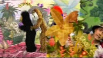 funky monkey cbeebies