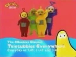 Teletubbies Everywhere Columbia