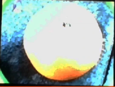 Orange | CBeebies Fanon Wiki | Fandom