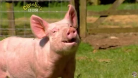 Big Barn Farm | CBeebies Fanon Wiki | Fandom