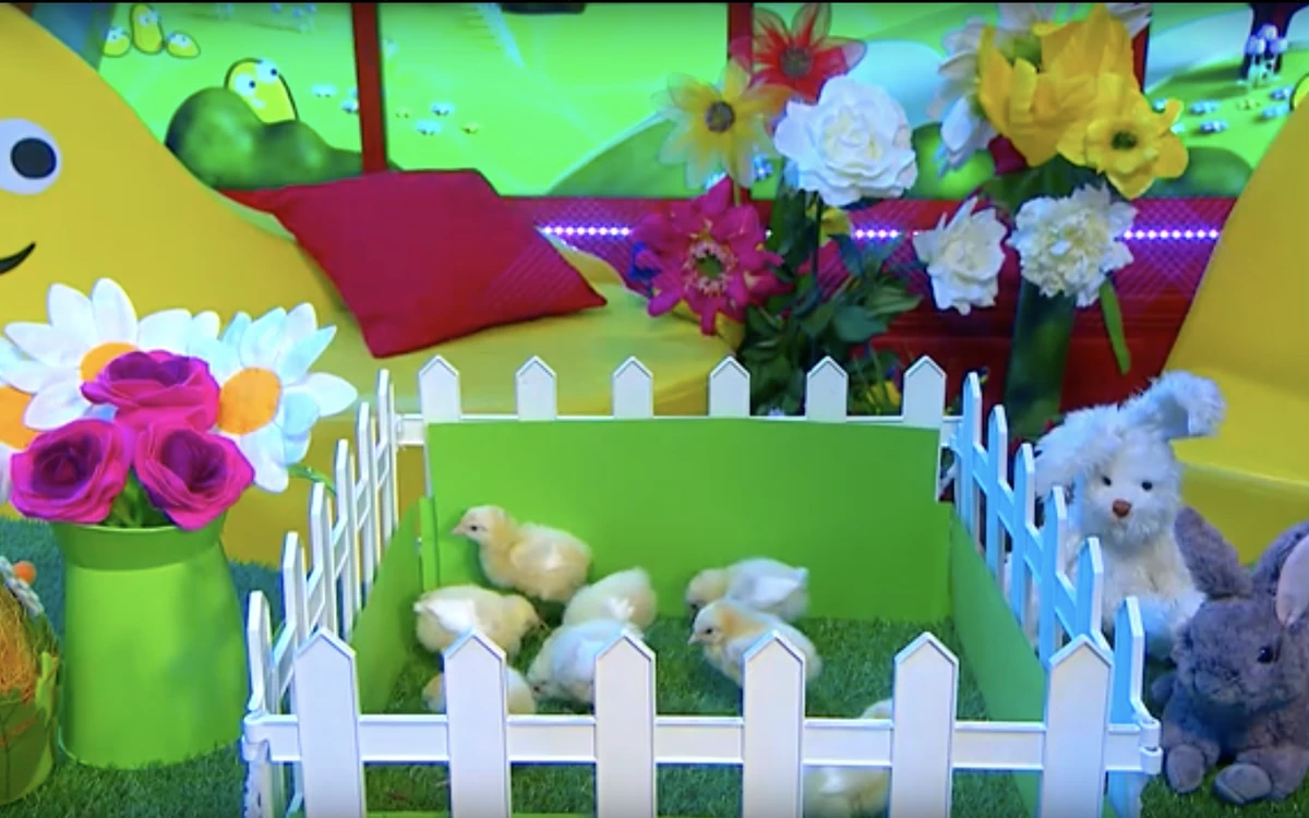 Chick Song | CBeebies Fanon Wiki | Fandom