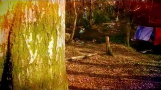 Spring Time Song | CBeebies Fanon Wiki | Fandom