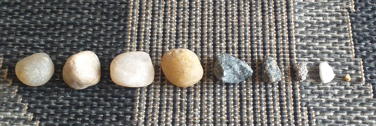 Meet The Asteroids! | Fandom