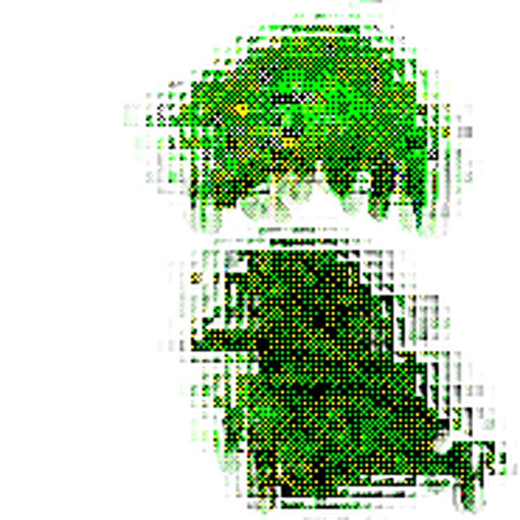 Splitty Splitty Mobs | Fandom