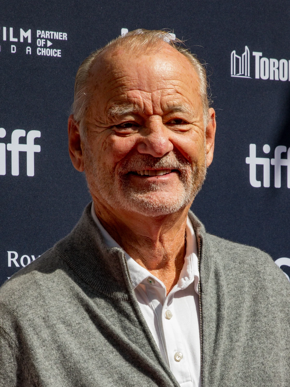 Bill Murray | Comic Book Media Wiki | Fandom