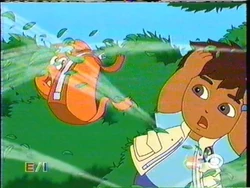 December 17, 2005 | CBS Broadcast Archives Wiki | Fandom