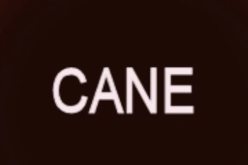 Cane | CBS Broadcast Archives Wiki | Fandom