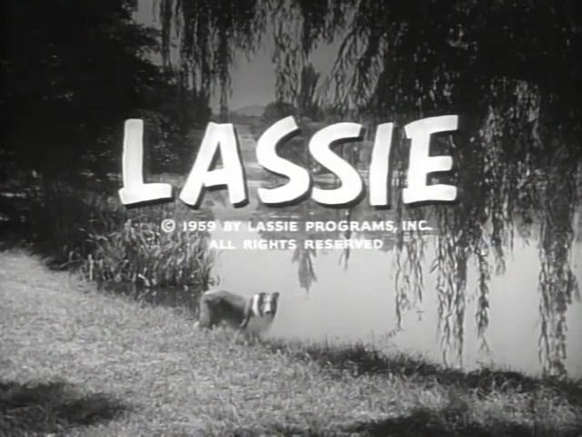 Lassie | CBS Broadcast Archives Wiki | Fandom