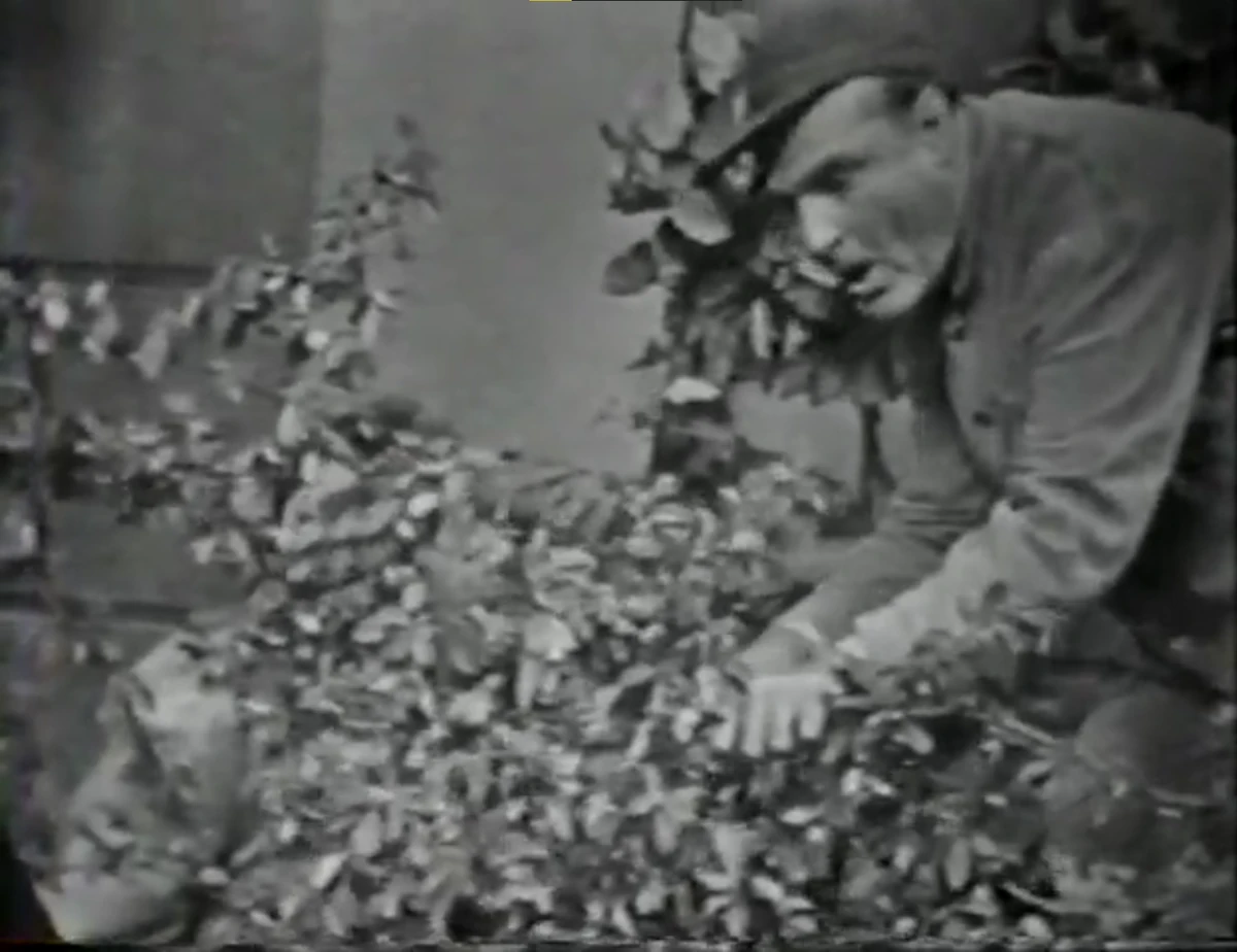 September 8, 1955 | CBS Broadcast Archives Wiki | Fandom
