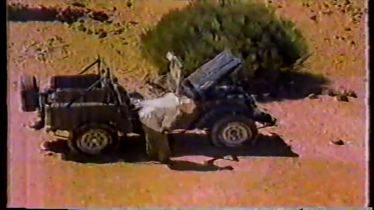 November 13, 1981 | CBS Broadcast Archives Wiki | Fandom